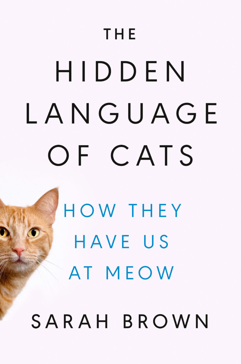 Literary Hub » You Had Me At Meow: On the Hidden Language of Cats