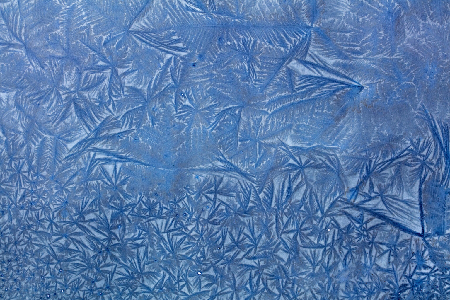 Literary Hub » Rebecca Solnit on Meghann Riepenhoff’s Cyanotype Prints ...