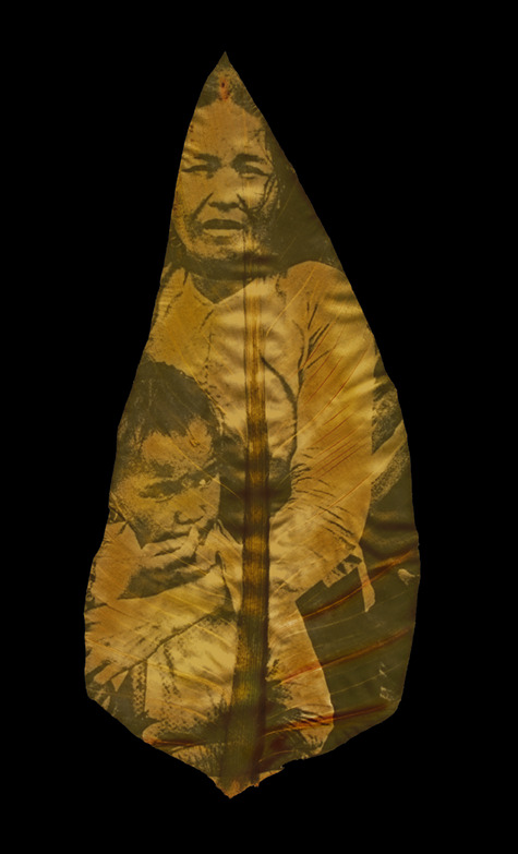 Literary Hub » Memories Lost and Found: On the Photography of Binh Danh