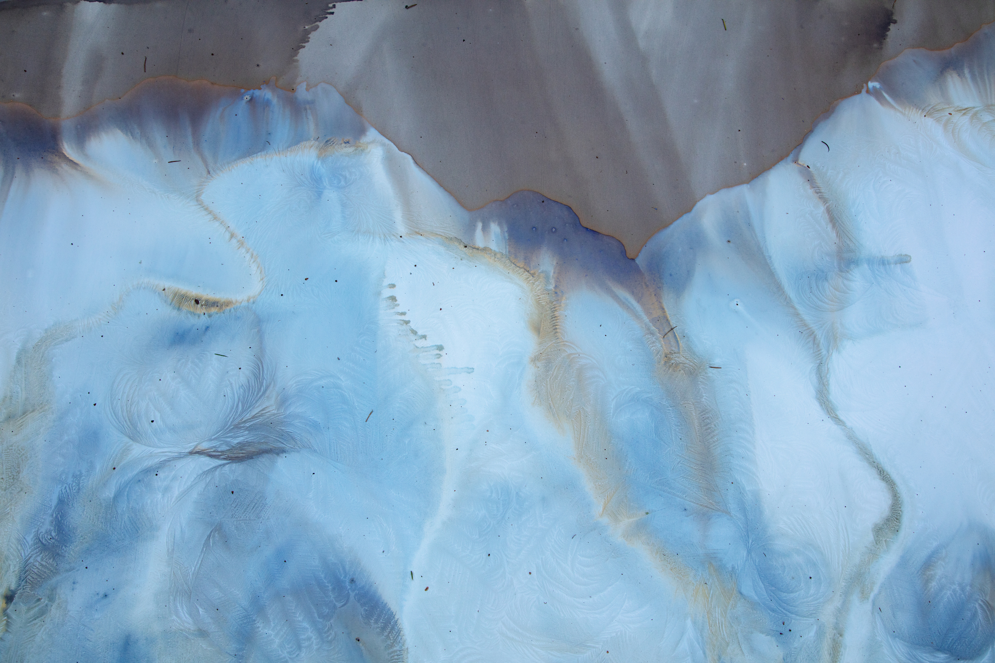 Literary Hub » Rebecca Solnit on Meghann Riepenhoff’s Cyanotype Prints ...