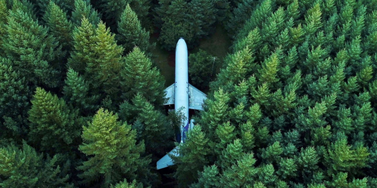 Literary Hub » Our Favorite Lit Hub Stories from 2023