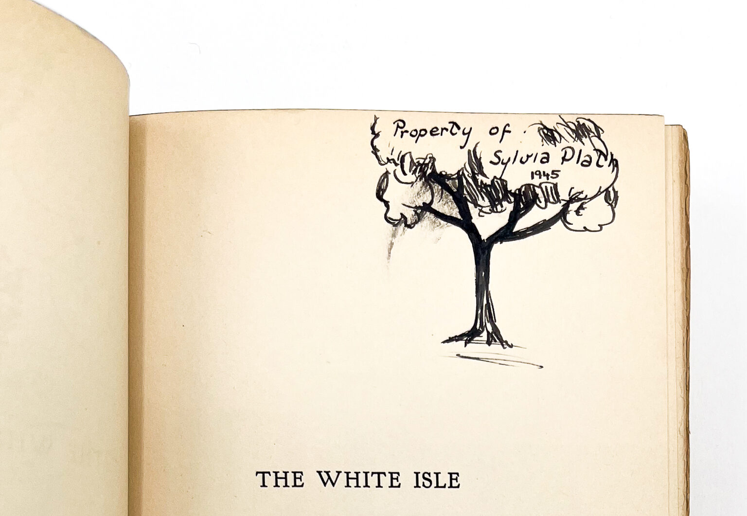 Literary Hub » Take a peek at a new collection of rare Sylvia Plath ...