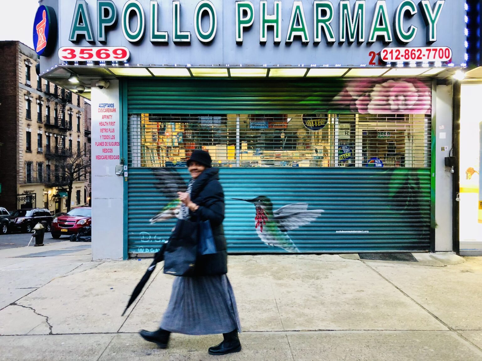 The Birds of Northern Manhattan: On Vanishing Human and Non-Human ...