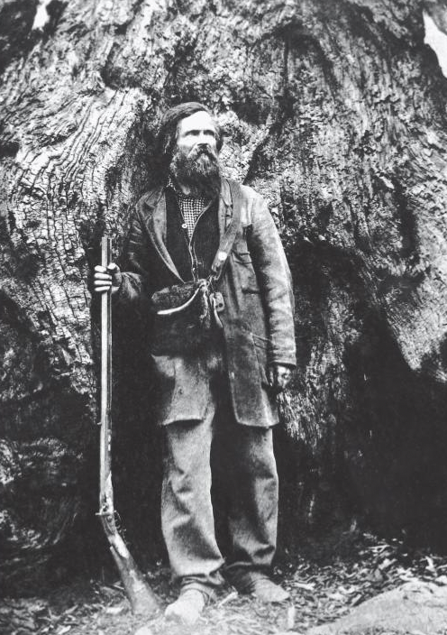 Literary Hub » “So Boundless an Affluence of Sublime Mountain Beauty ...