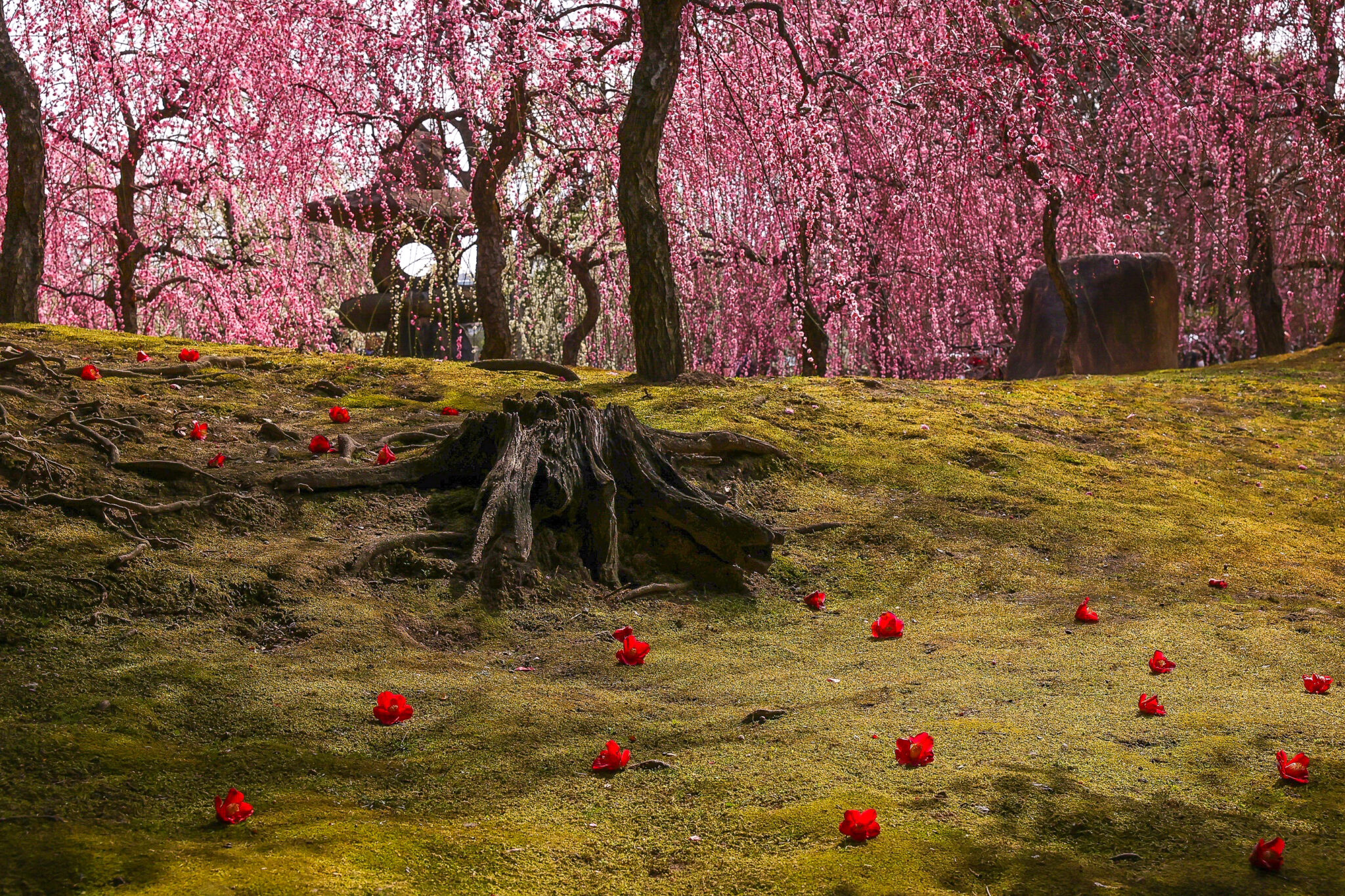 Literary Hub » The Tale of Genji: A Visual Journey Through the World’s ...