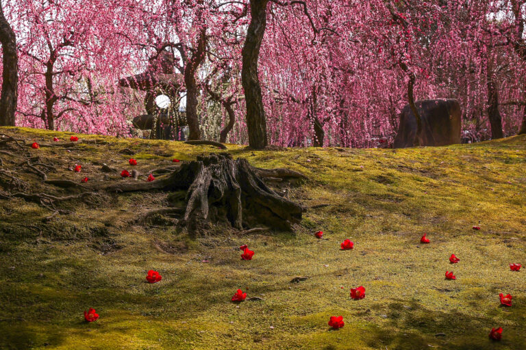 Literary Hub » The Tale of Genji: A Visual Journey Through the World’s ...