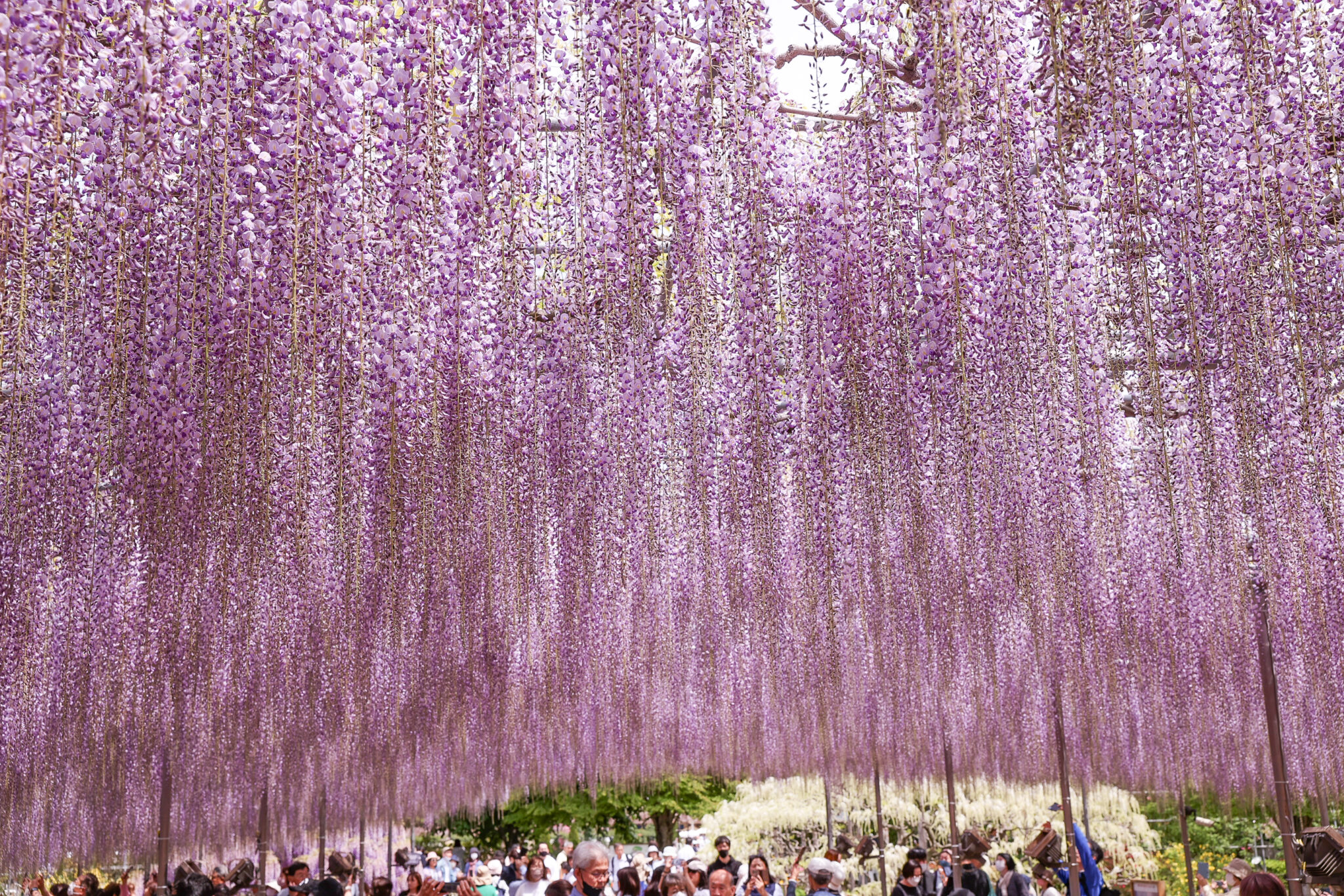 Literary Hub » The Tale of Genji: A Visual Journey Through the World’s ...