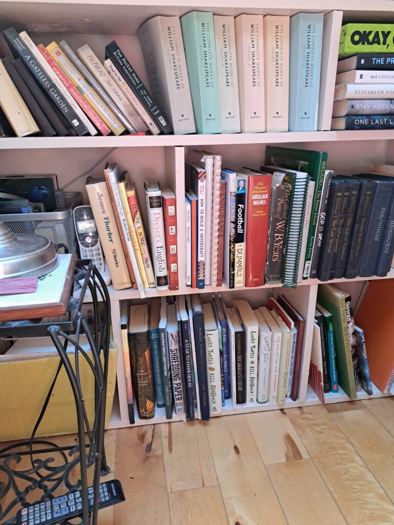 Literary Hub » Bookshelves for Your Book Selves: Monica Wood on Why She ...