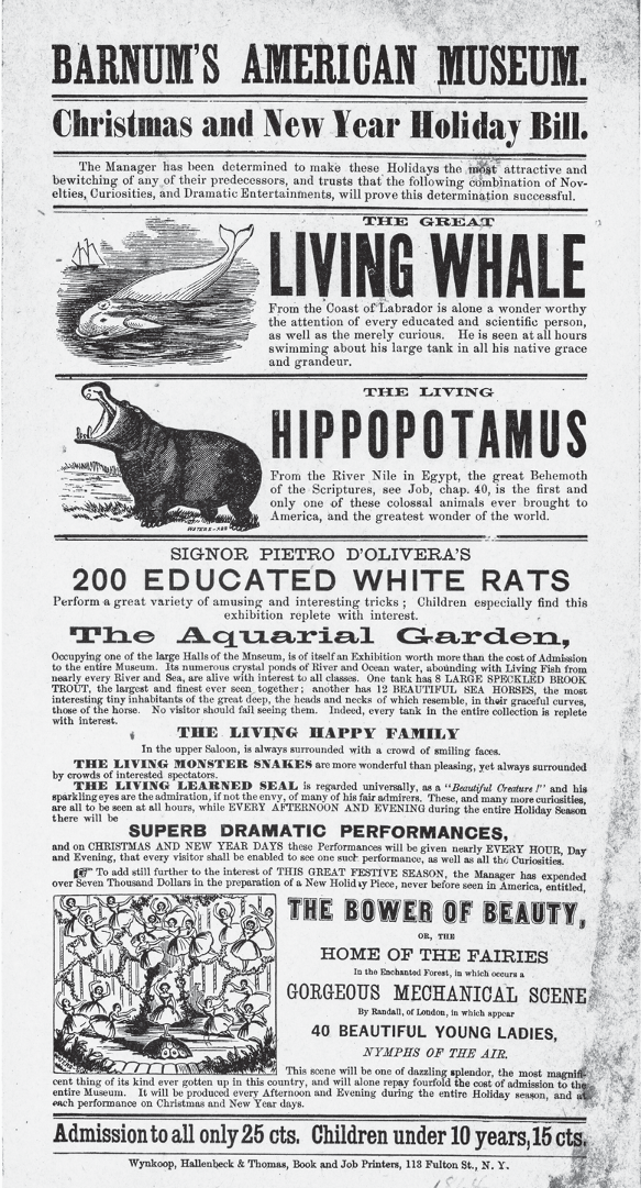 Literary Hub » How P.T. Barnum Brought Beluga Whales to New York City