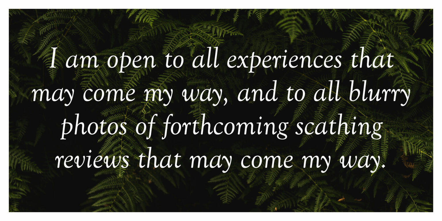 Literary Hub » Center yourself with some springtime affirmations for ...