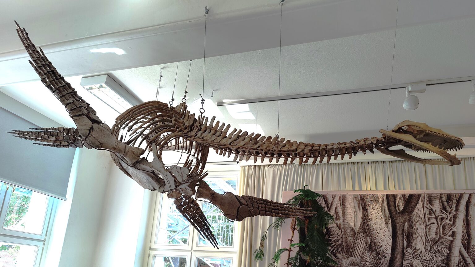 Literary Hub » The Great Dying: How Mass Extinction Made the Dinosaurs