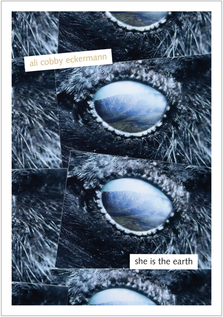Literary Hub » Listen to the Firespitters: Seven Poetry Books to Read ...