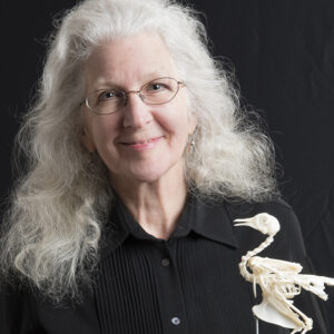 Literary Hub » Andrea Barrett