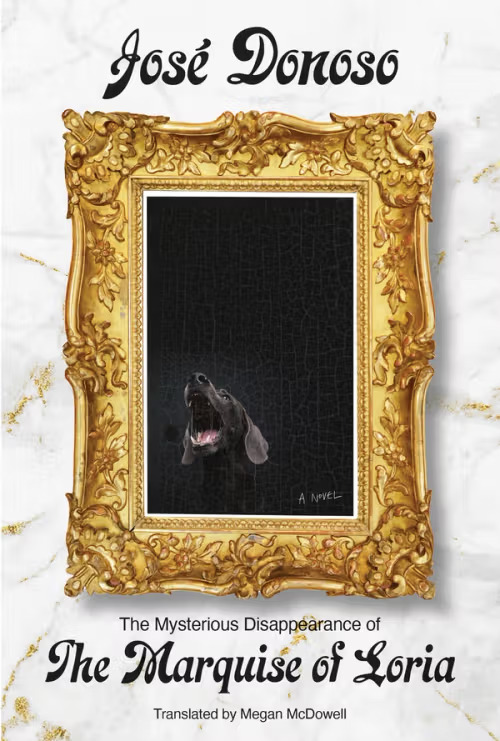 Literary Hub » “My First Porno, My First Dildo, My First Love.” On José ...