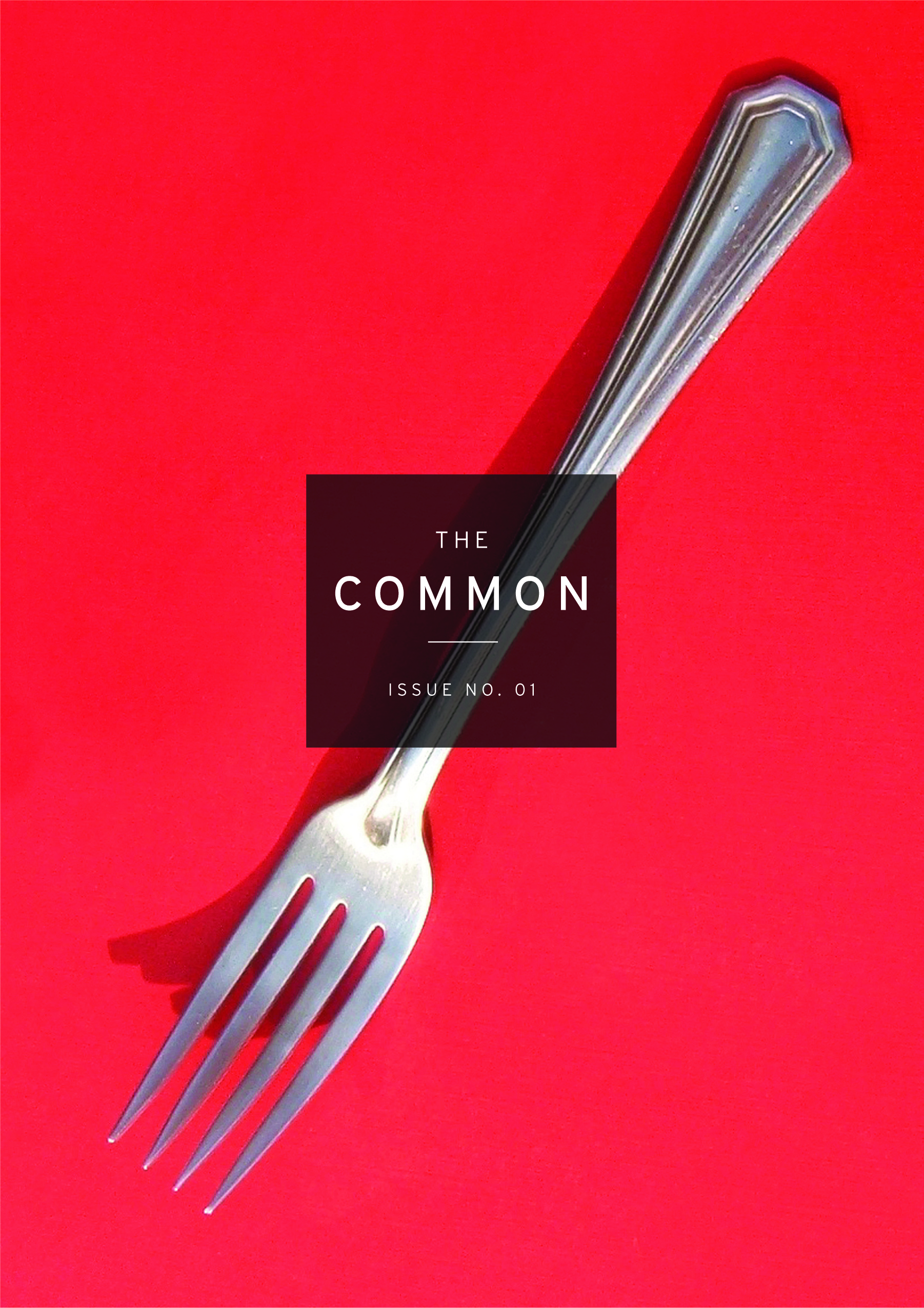 Literary Hub » First Impressions: 15 Years of The Common Through Its Covers