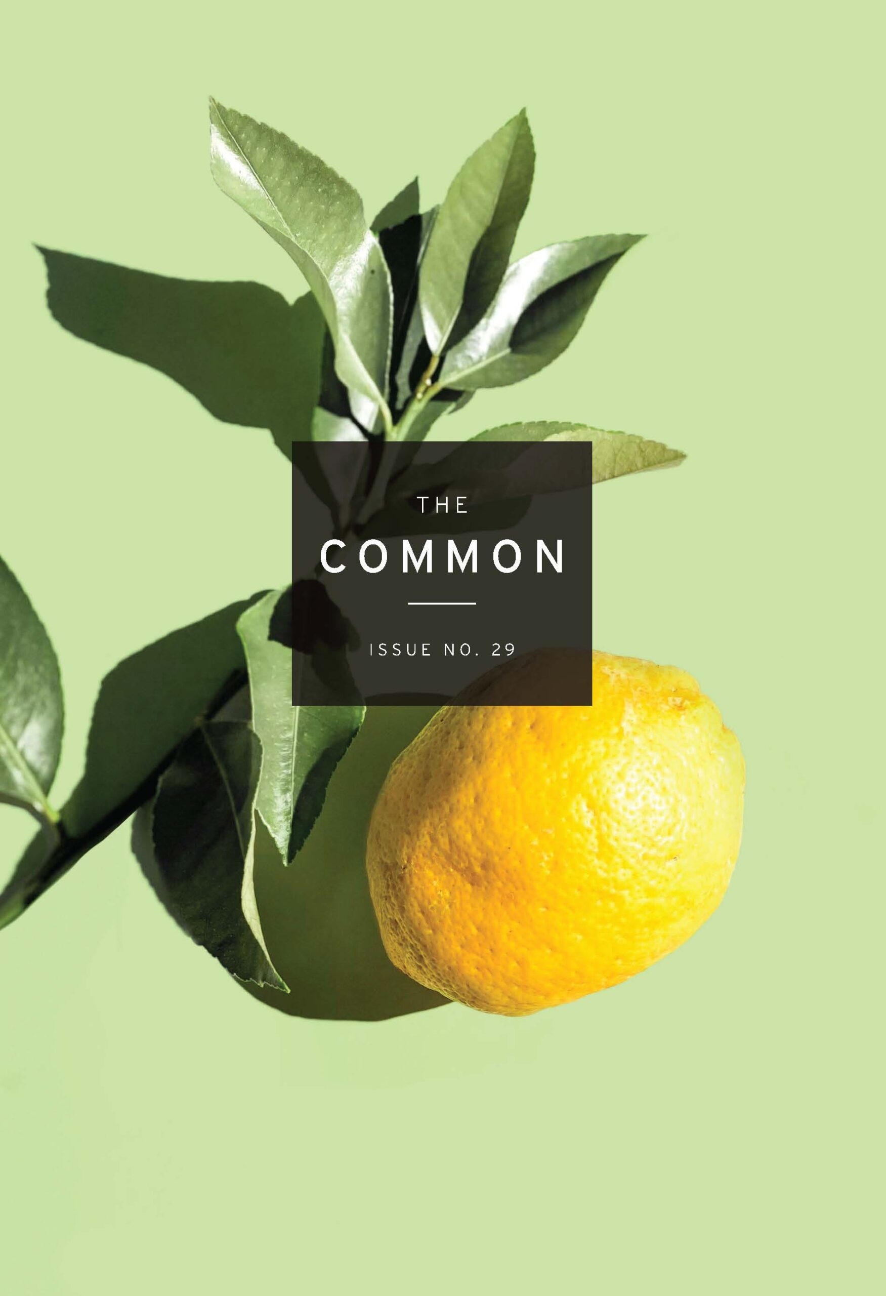 Literary Hub » First Impressions: 15 Years of The Common Through Its Covers