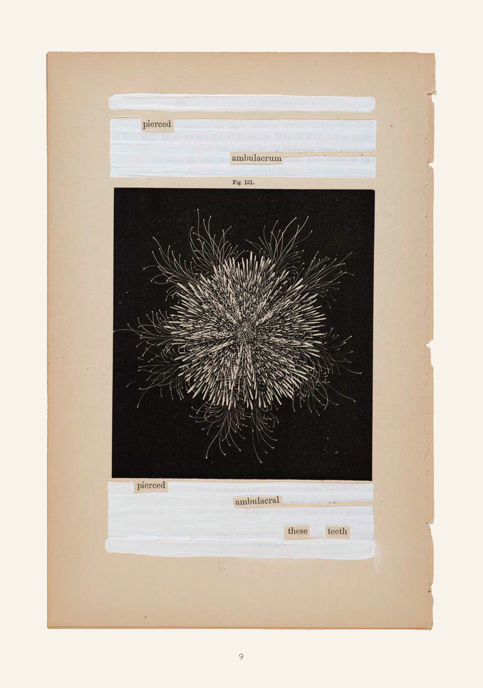 Literary Hub » “Distinguished Office of Echoes,” a Poem by Lisa Olstein