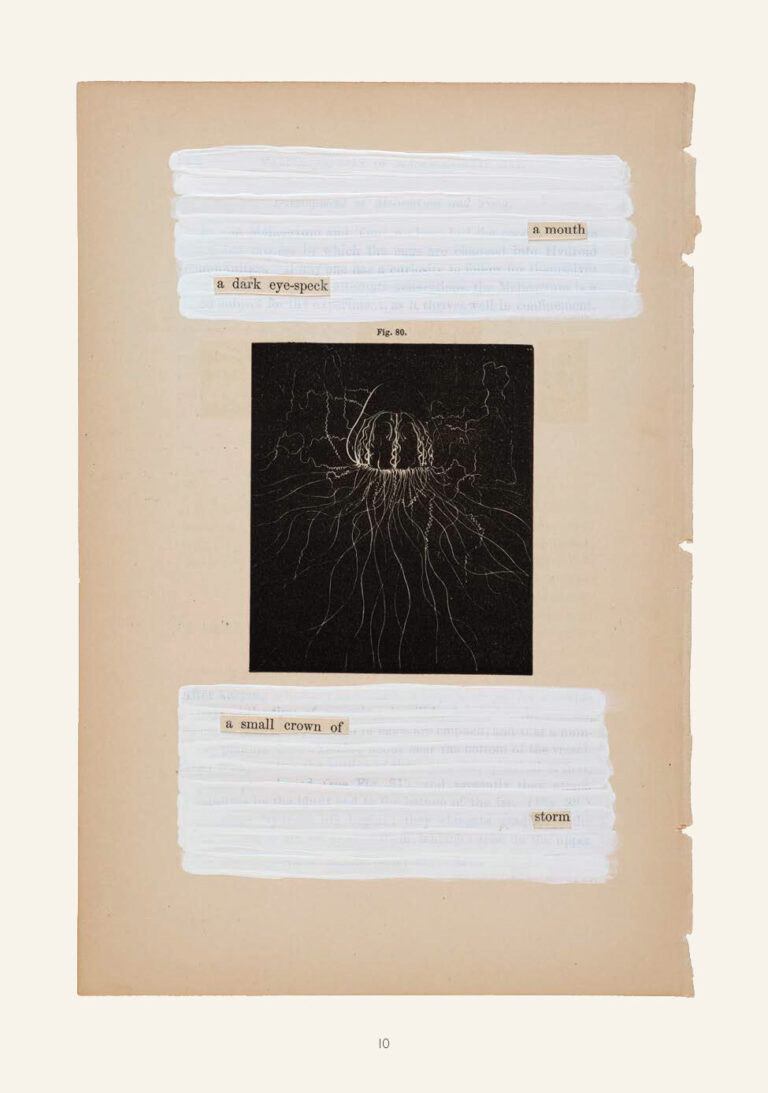 Literary Hub » “Distinguished Office of Echoes,” a Poem by Lisa Olstein