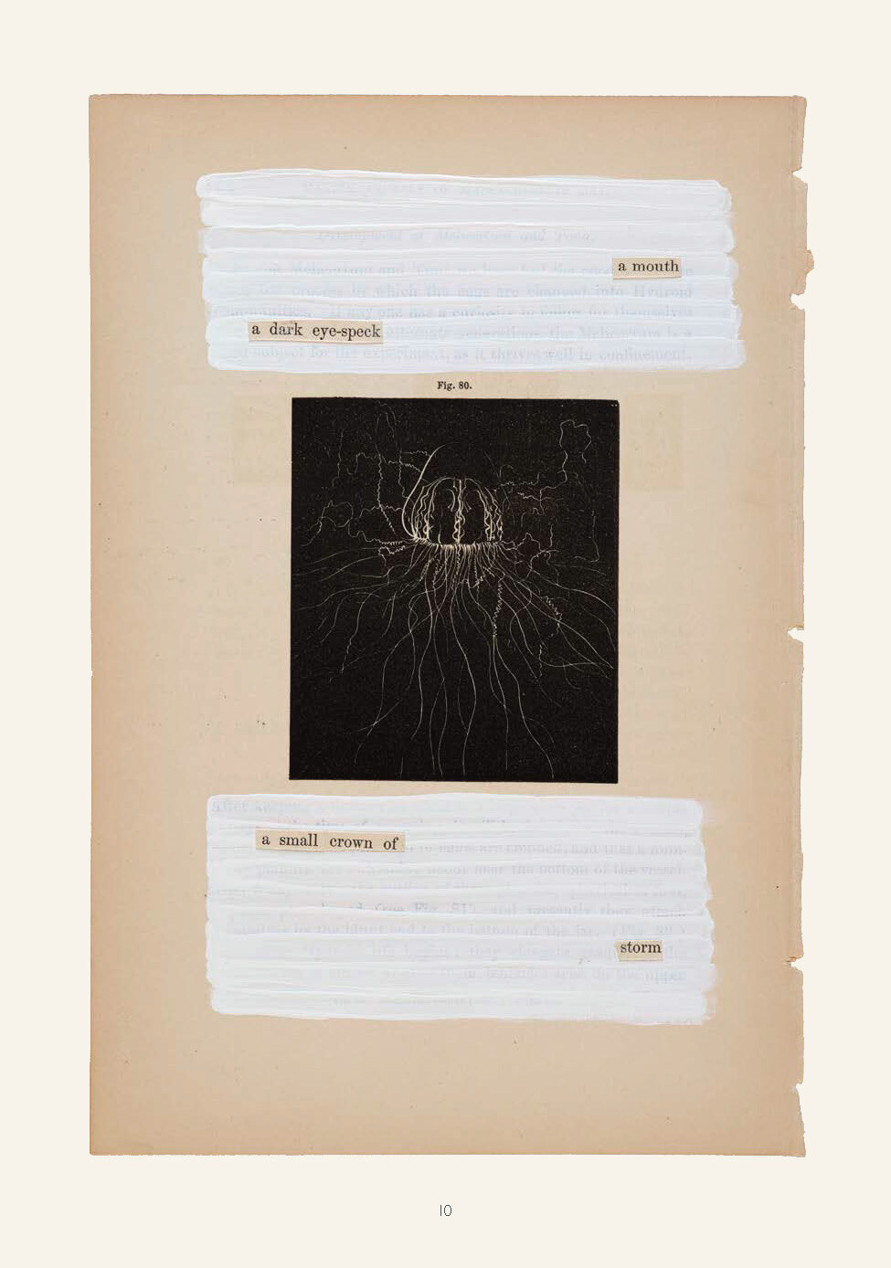 Literary Hub » “Distinguished Office of Echoes,” a Poem by Lisa Olstein