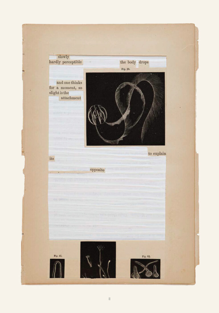 Literary Hub » “Distinguished Office of Echoes,” a Poem by Lisa Olstein