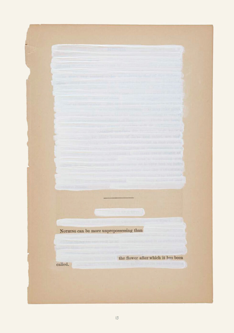 Literary Hub » “Distinguished Office of Echoes,” a Poem by Lisa Olstein