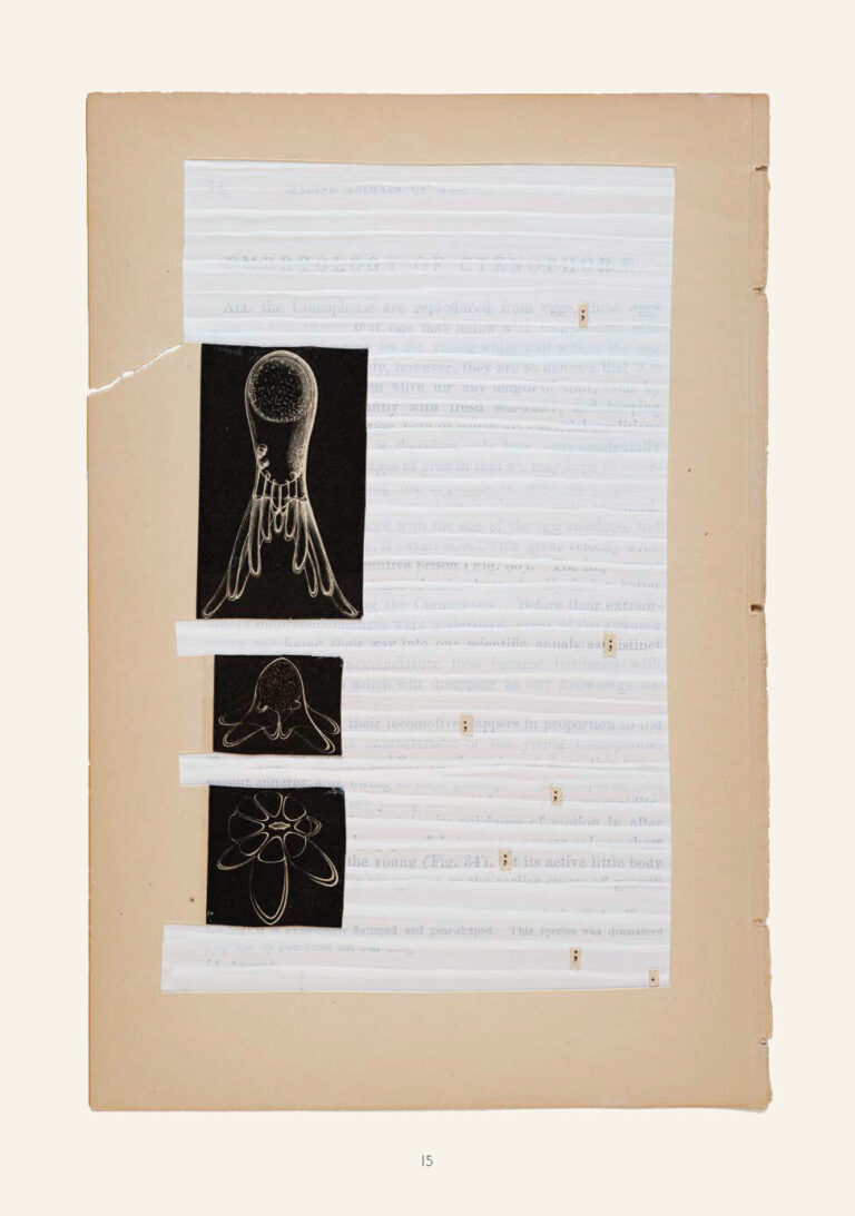 Literary Hub » “Distinguished Office of Echoes,” a Poem by Lisa Olstein