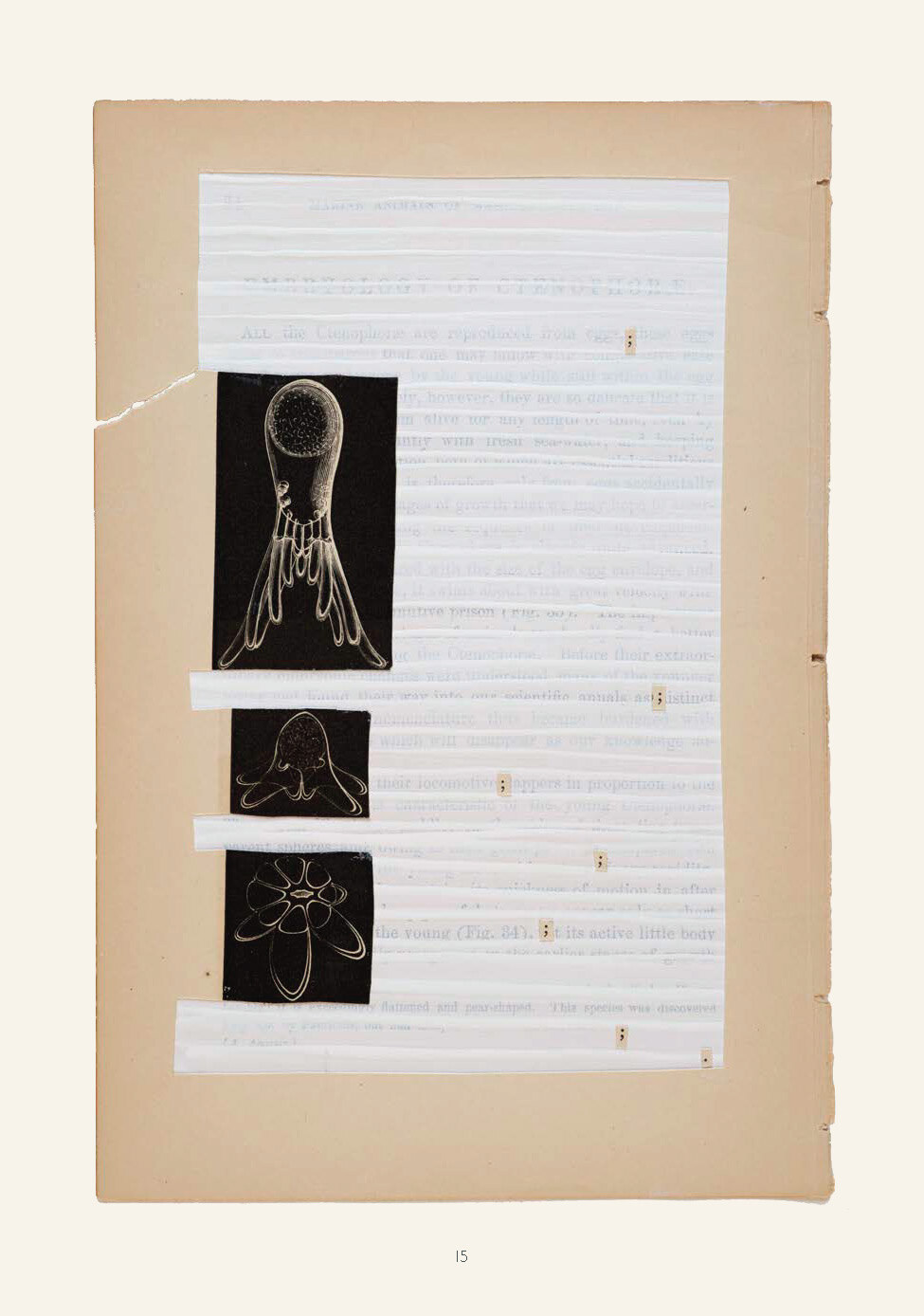 Literary Hub » “Distinguished Office of Echoes,” a Poem by Lisa Olstein