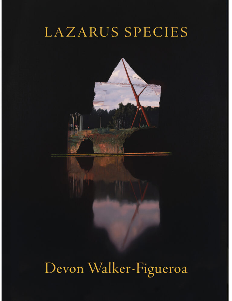Literary Hub » Two Poems by Devon Walker-Figueroa