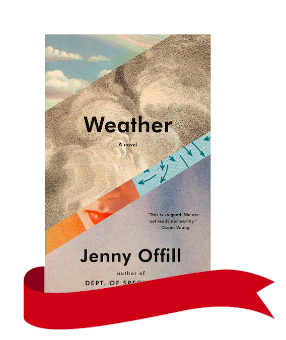 Literary Hub » The best reviewed novel of 2020 is…