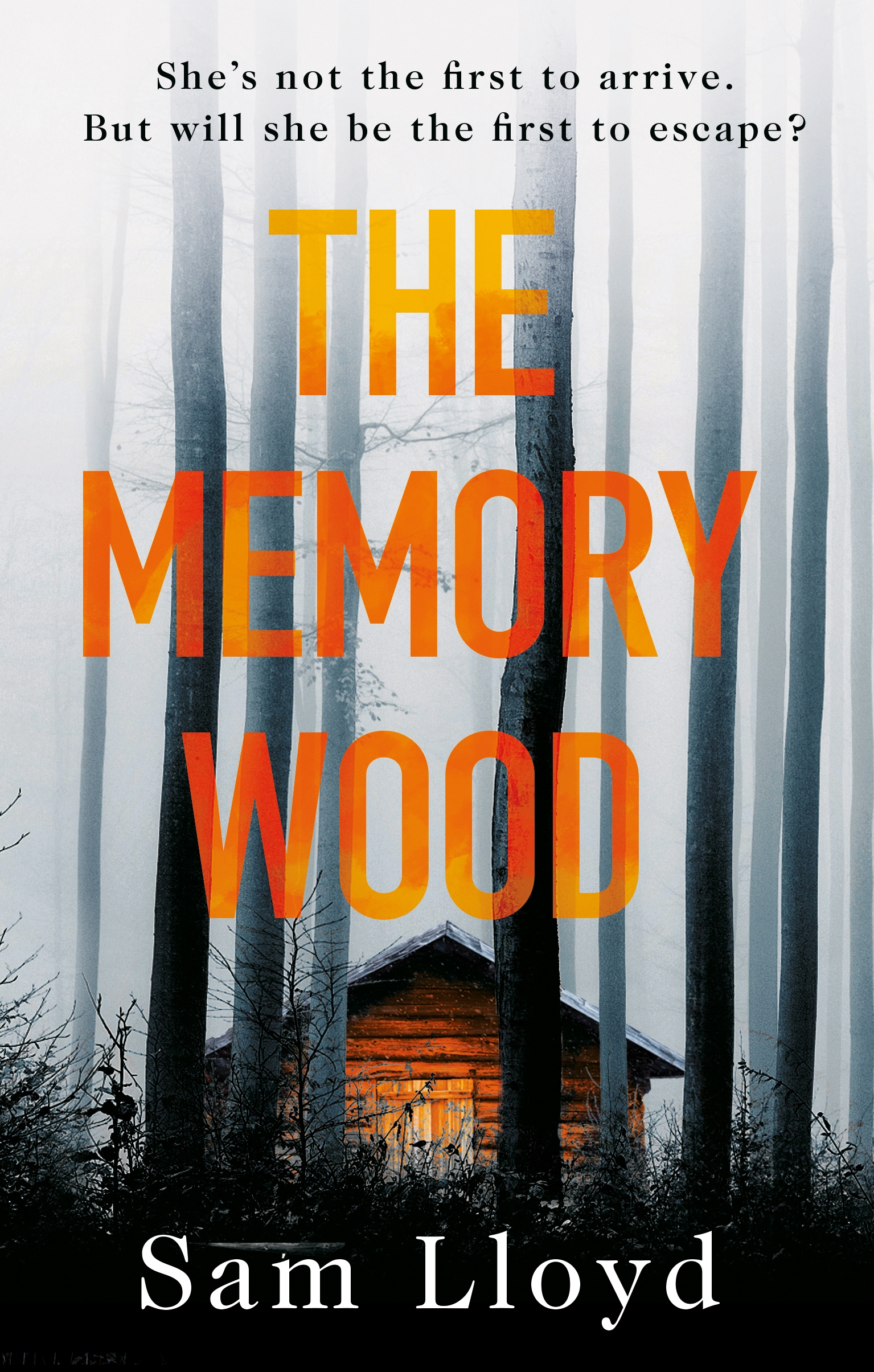 Five Thrillers Set In the Woods ‹ CrimeReads