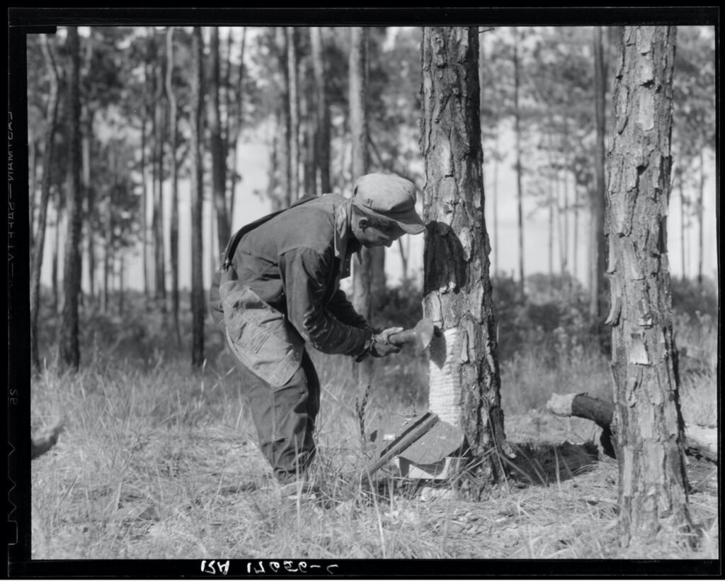 The Dodge Land Wars: A History of Violence ‹ CrimeReads