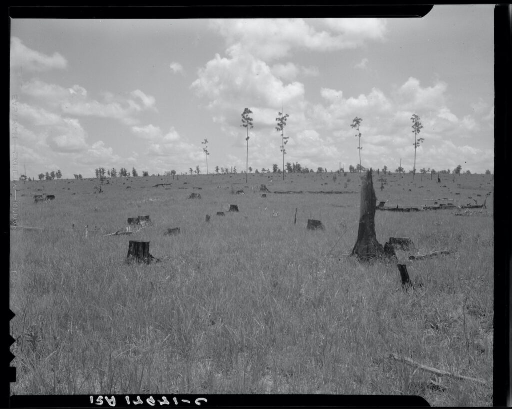 The Dodge Land Wars: A History of Violence ‹ CrimeReads