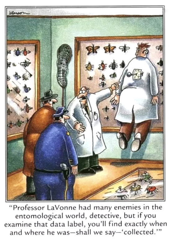 The Five Funniest Far Side Cartoons About Detectives ‹ CrimeReads